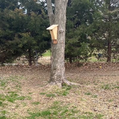 Petterson Style Blue Bird Boxes 4 Boxes - Etsy