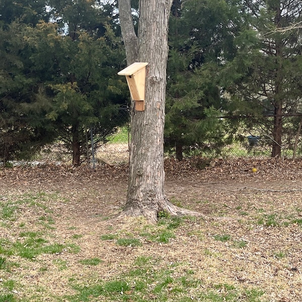 Petterson Style Blue Bird Boxes (2 Boxes) - Etsy