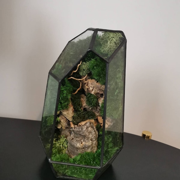 Geometric Terrarium | Prism | Desktop Mossarium Centrepiece | Preserved ...