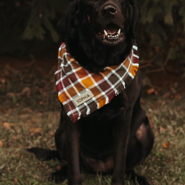 Dog Bandana • Autumn Dog Bandana • Personalized Dog Bandana • Fall Dog ...