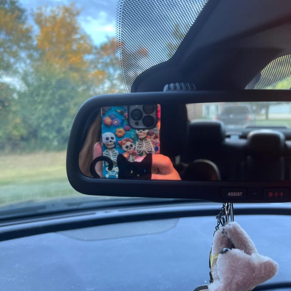 Ghost Decal, Ghost With Bats, Mini Ghost, Rearview Mirror Decal, Car ...