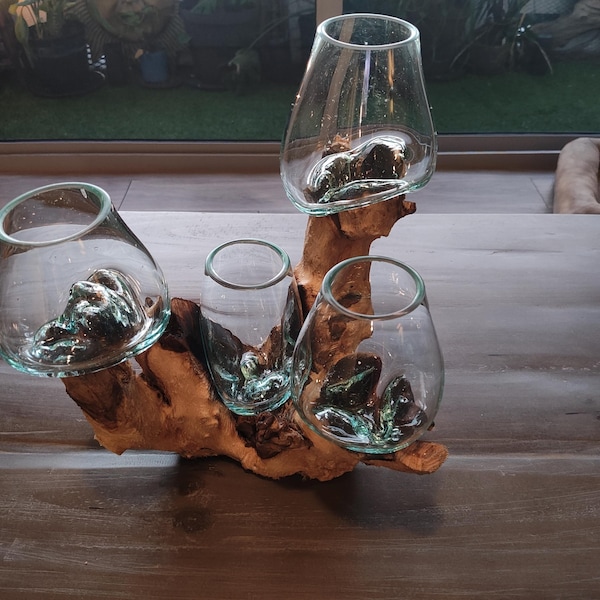 Molten Glasses 5 IN ONE Mini / Vases / Pots / Aquascape / Roots / Gamal ...