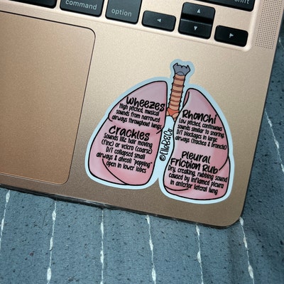 Set of 6 Sterile Processing Tech Stickers Water Resistant Vinyl ...