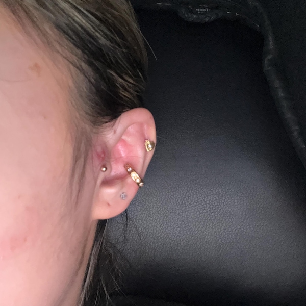 Double Smooth Split Conch Hoop, G23 Titanium, Double Conch Earring ...