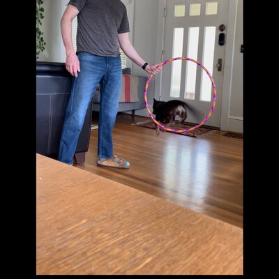 Hula Hoop SALE best Selling Hoola Monsters ECONOMY Travel Hoop Beginner ...