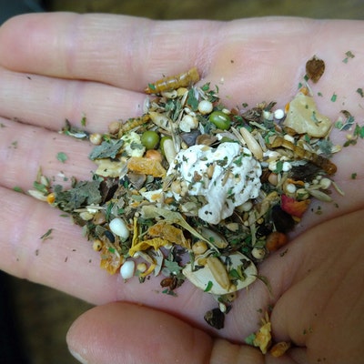 Premium Dwarf Hamster Food - Etsy UK