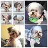 Custom Dog and Cat Funko Pops - Etsy UK