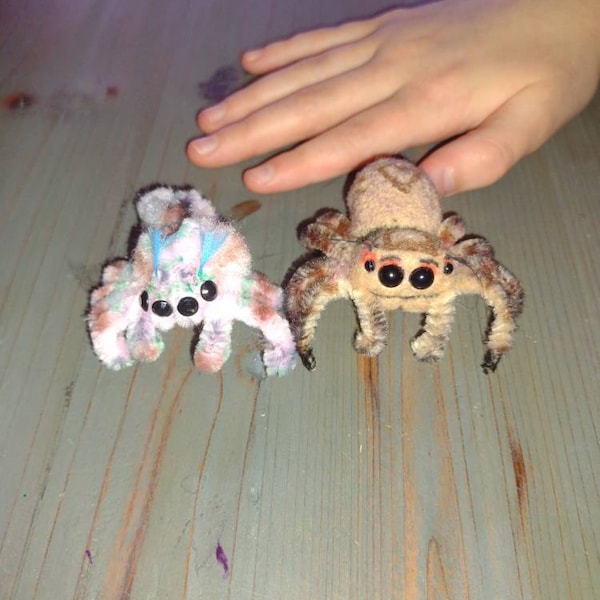 Needle Felted Jumping Spider Toy, Poseable Arachnid Sculpture - Etsy