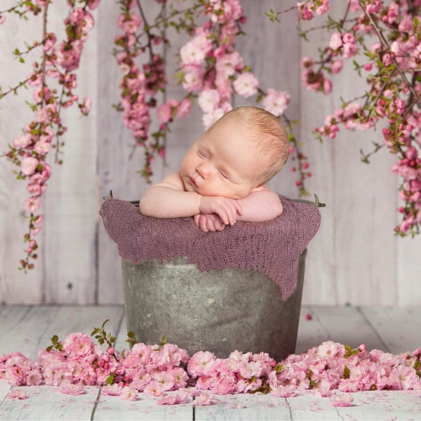 Spring Newborn Backdrop and Newborn Digital Backdrop,spring Newborn ...