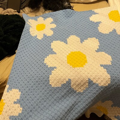 The Daisy Day Throw PDF DIGITAL DOWNLOAD Crochet Pattern, C2C Crochet ...