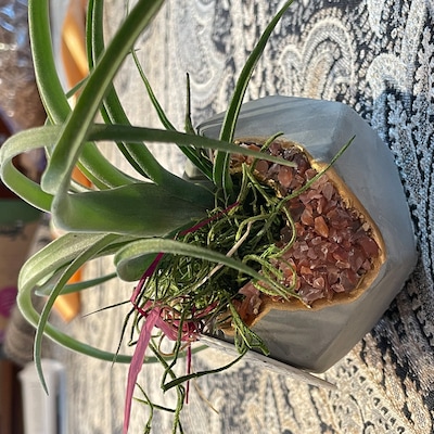 2.5 Mini Geode Plant Pot Unique Crystal Air Plant Holder Geometric ...