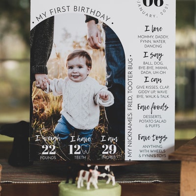 EDITABLE First Birthday Milestone Sign, Modern 1st Birthday Milestone ...