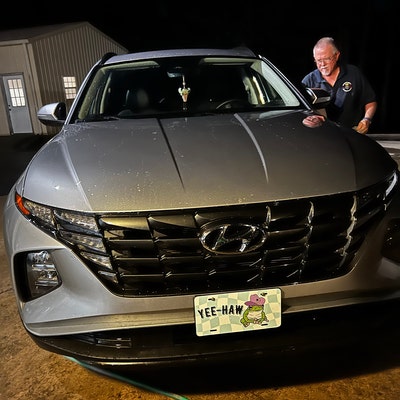 Cowboy Frog Front License Plate Country Frog Truck Tag Cute Purple Hat ...