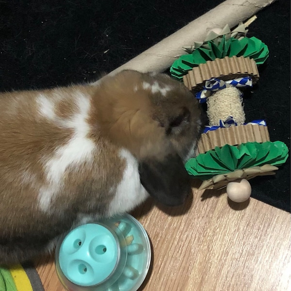 Rabbit Chew Toy: Mini Shredder With Vine Ball & Palm Flowers - Etsy