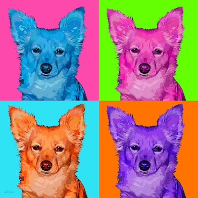 Andy Warhol Custom POP ART Pet Dog Cat Portrait From Photo on Large ...