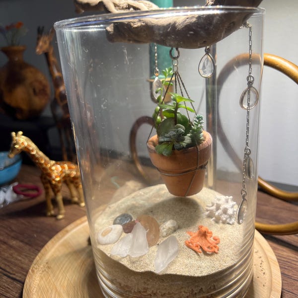 Miniature Hermit Crab / Micro Mini Crab Sea Creature Ocean Reef Pink ...