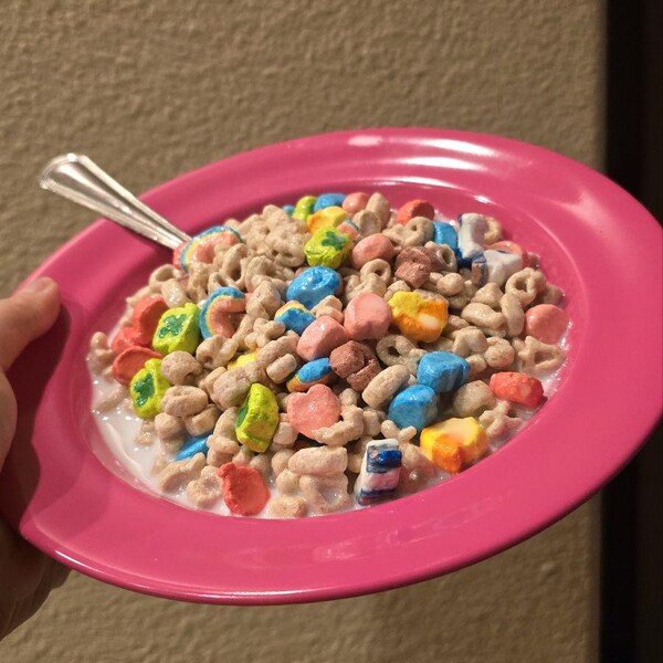 Hanging Faux Food Cereal Wall Art Decor Bespoke Lucky Charms Fruit ...