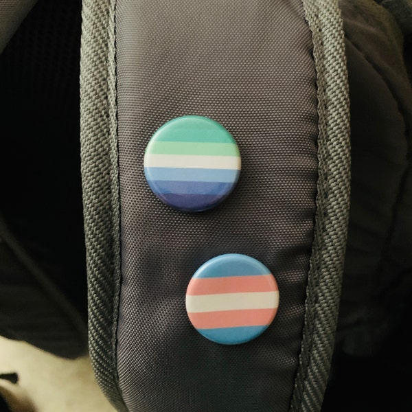 Transgender Trans Classic Pride Flag Pin Badge Pinback Button ~ 1" Pin ...