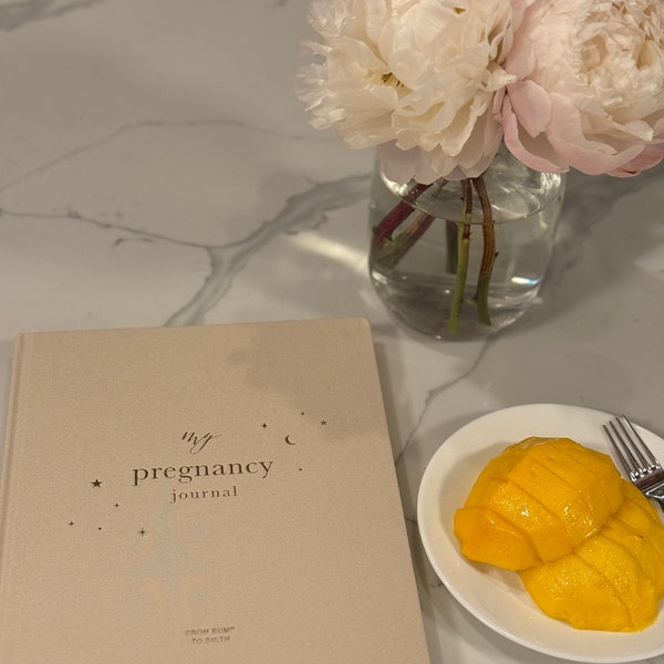 My Pregnancy Journal, Expectant Mother Gift, Pregnancy Planner - Pearl ...