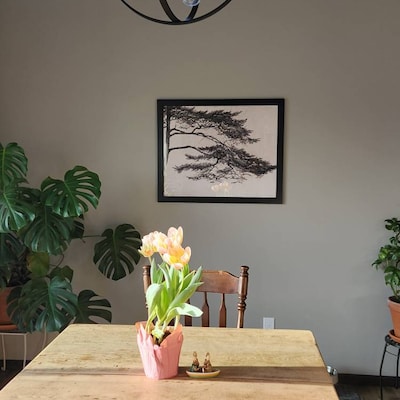 Pine Tree Branch Print, Vintage Tree Drawing Enhanced, Printable Tree ...