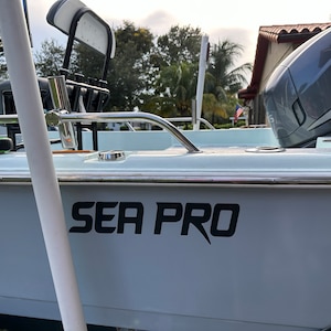 Custom Boat Decals Pontoon Name Raised Domed - Etsy