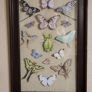 Realistic Paper Butterflies Double-sided Butterfly Paper-cut - Etsy