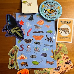 Cambrian Kids Remember Iron-on Patch - Etsy