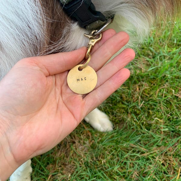 Premium Thick Dog Tag With Clip - Hand Stamped Brass Metal - Etsy