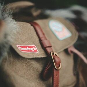 Adventure Buddy Patch for Dogs Iron-on Velcro - Etsy