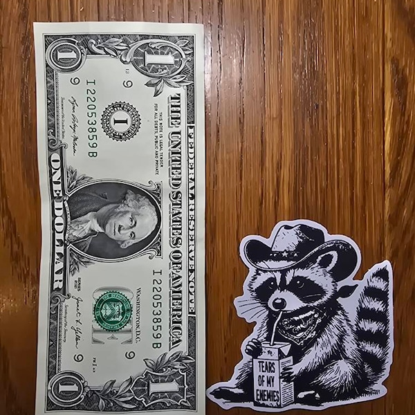 Mothman Stole My Bug Zapper - Funny Cryptid Bumper Sticker ...