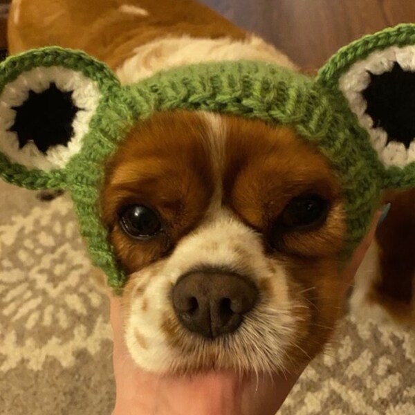 Frog Dog Snood Hand Knit Long Ear Covering Cold Weather Cavalier King ...