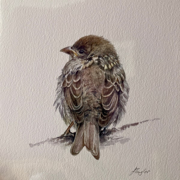 MOUSE PAINTING: Print of an Original Watercolour by Jan Taylor, 'A Pair ...