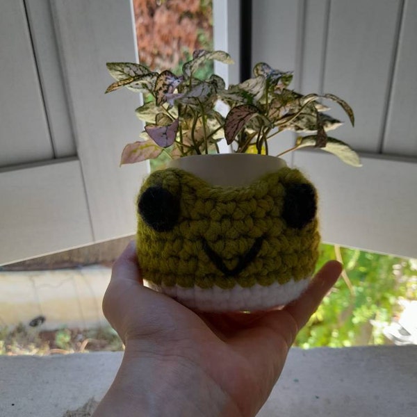Froggy Mini Planter Crochet Pattern, Crochet Planter, Frog Planter - Etsy