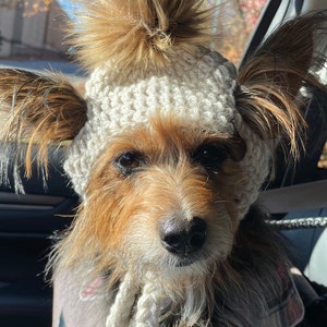 Corgi Beanie Dog Beanie Corgi Hats Dog Hat Dog Beanie Fur Baby Beanies ...