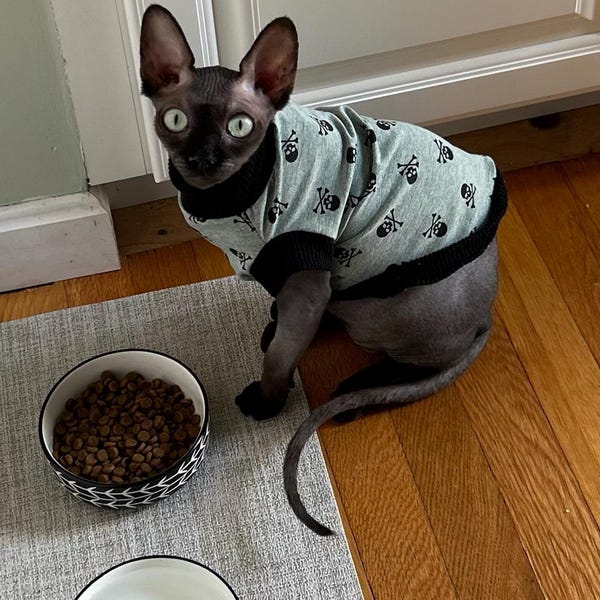 Sphynx Cat Clothes, Clothes, Long Sleeves Sphynx Cat Jumper, Sphynx Clothes, Devon Rex Clothes ...
