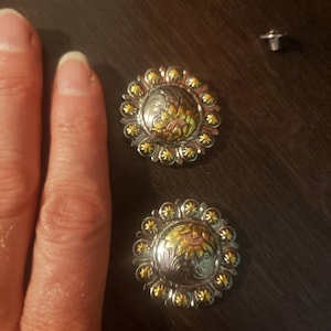 1-1/4 Texas State Seal HRSP Screw-back Concho - Etsy