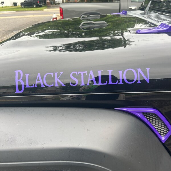 20" X 3.5" Pair of Custom Two Colors Hood Vinyl Decals High-quality ...