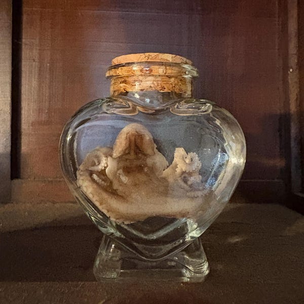 Vintage Horror Paperback Books | Vintage Scary Nostalgia | Nostalgic ...