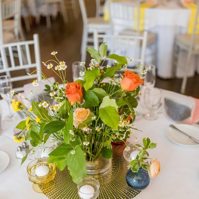 2 Pin Frog Flower Frog Kenzan Japanese High Quality New Round Ikebana ...