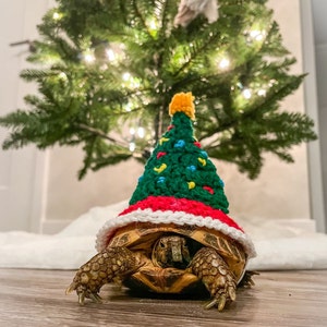 Alien in Spaceship Costume for Turtle/tortoises - Etsy