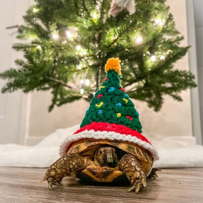 Bridesmaid Dress Crochet Costume for Turtles/ Tortoises - Etsy