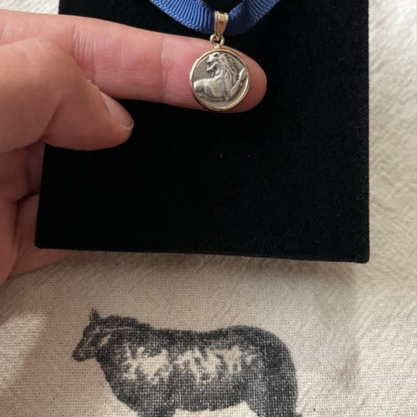 10k Gold Real King Midas Coin Necklace | Ancient Phyrgian Greek Coin ...