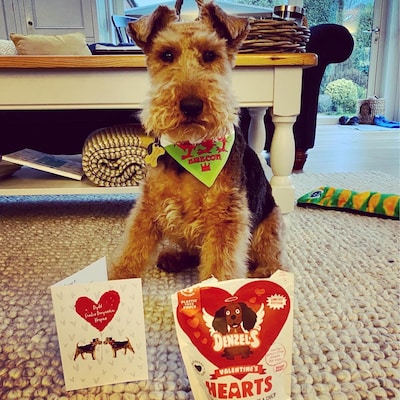 All Things Welsh Print A4 / A5 Daffodils Welsh Cakes - Etsy UK