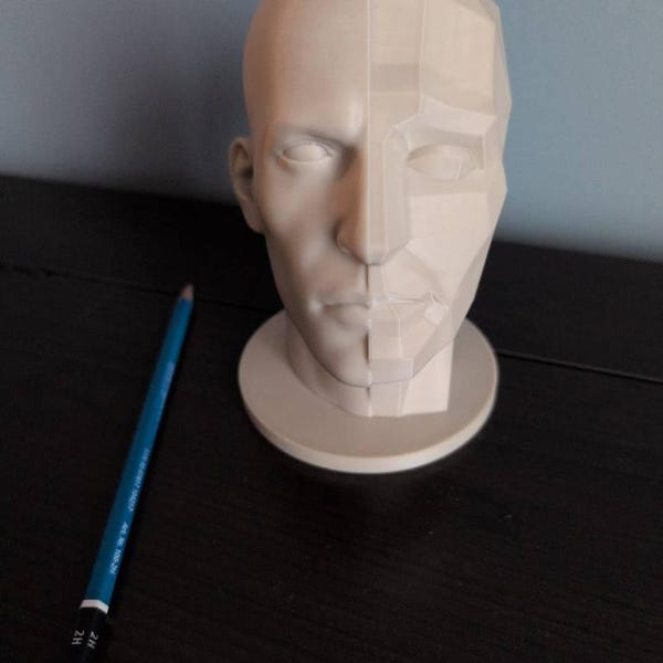 Female Realistic Head Bust | Portrait Reference Tool | Multiple Sizes ...