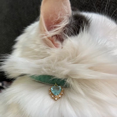 Princess Cat Collar,rhinestone Cat Collar,light Green Velvet Tiny Dog ...