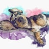 Custom Dog Portrait From Photo, Dog Sketch Into Art, Cat Illustration ...