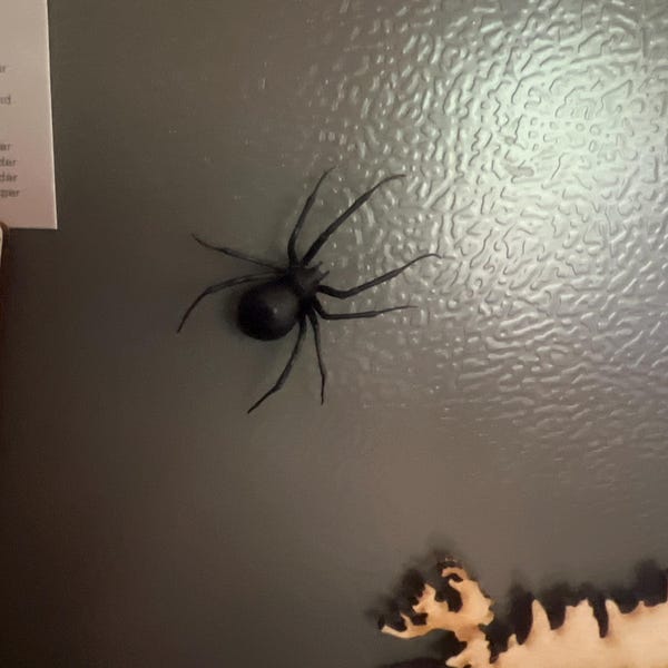 Plastic Spider as an Earring | Neon Green Realistic Giant House Spider ...