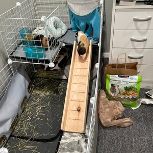 5.5 Guinea Pig Ramp With Sides, Guinea Pig Accessory, Chinchilla Cage ...