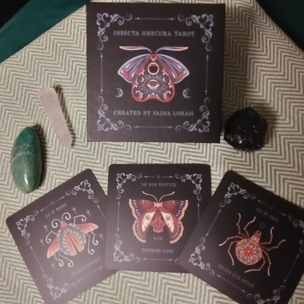 Insecta Obscura Tarot Deck Green Witch Insect Garden Tarot 78 Cards and ...
