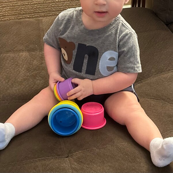 ONE Bear, Beary Special, Little Bear Birthday Shirt, Wild One, Teddy ...